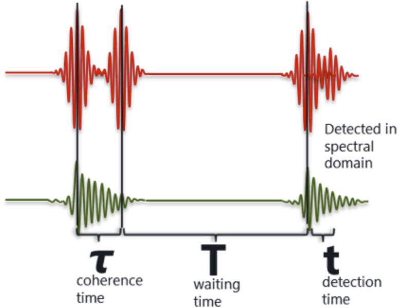 Two-Dimensional Spectrometer